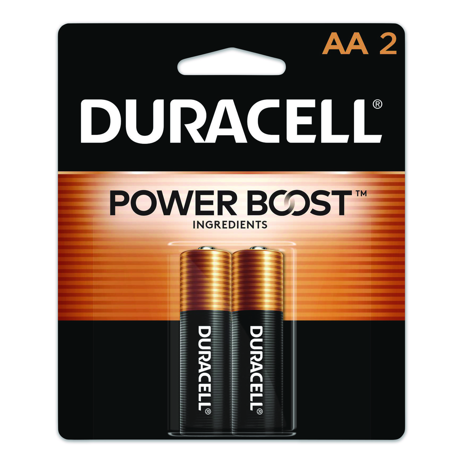 Power Boost CopperTop Alkaline AA Batteries, 2/Pack - Reparto