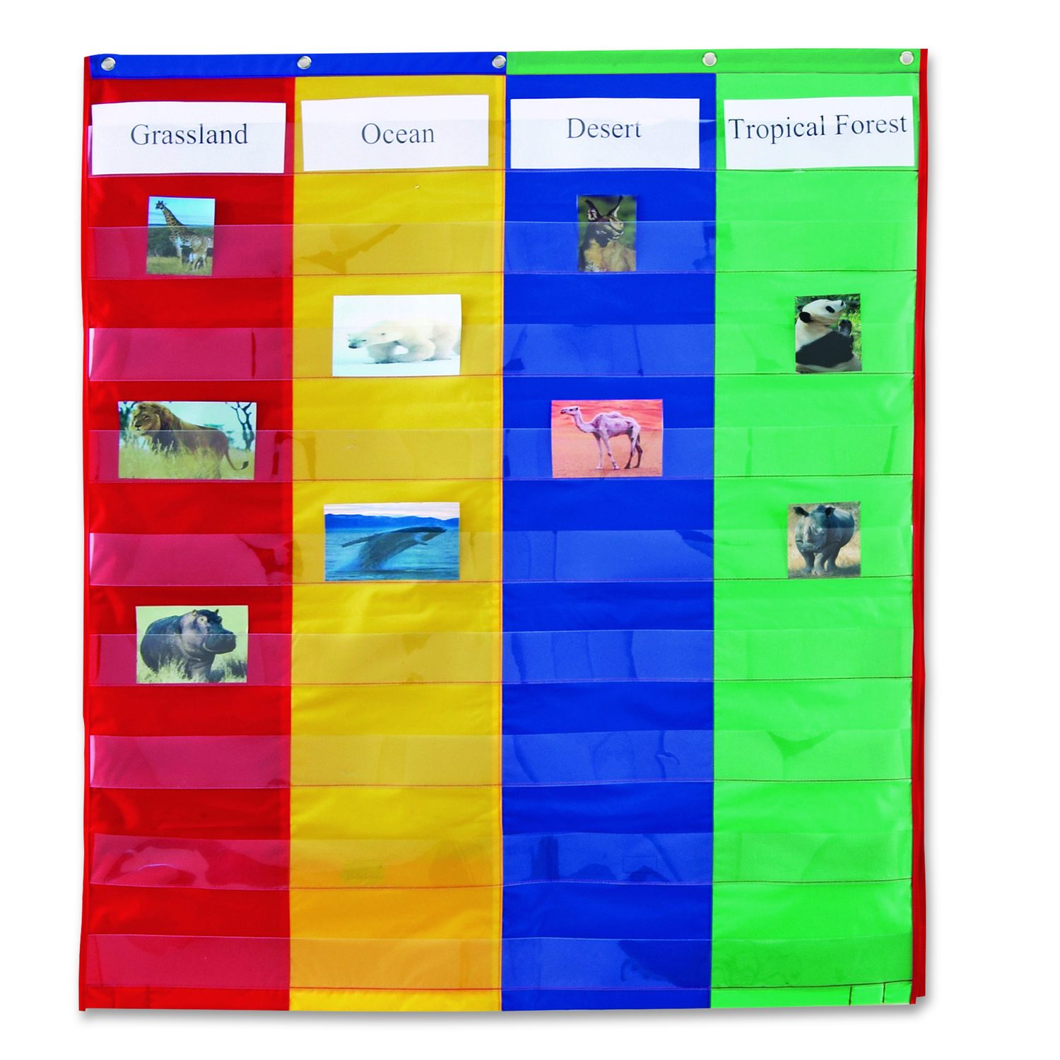 Two- and Four-Column Double-Sided Pocket Chart, 9 Pockets/Chart, 30 x ...
