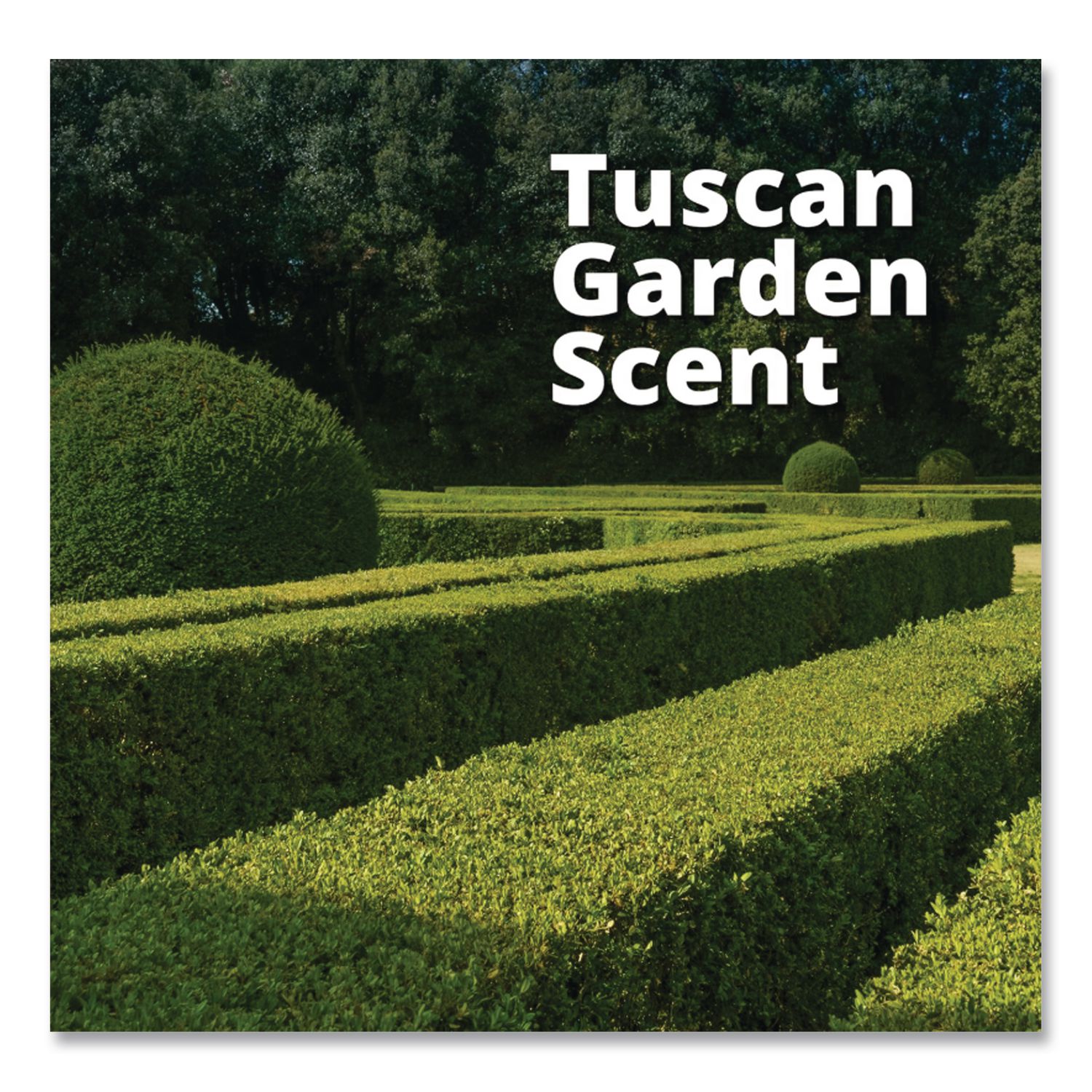 Good Sense Automatic Spray System, Tuscan Garden Scent, 0.67 oz ...