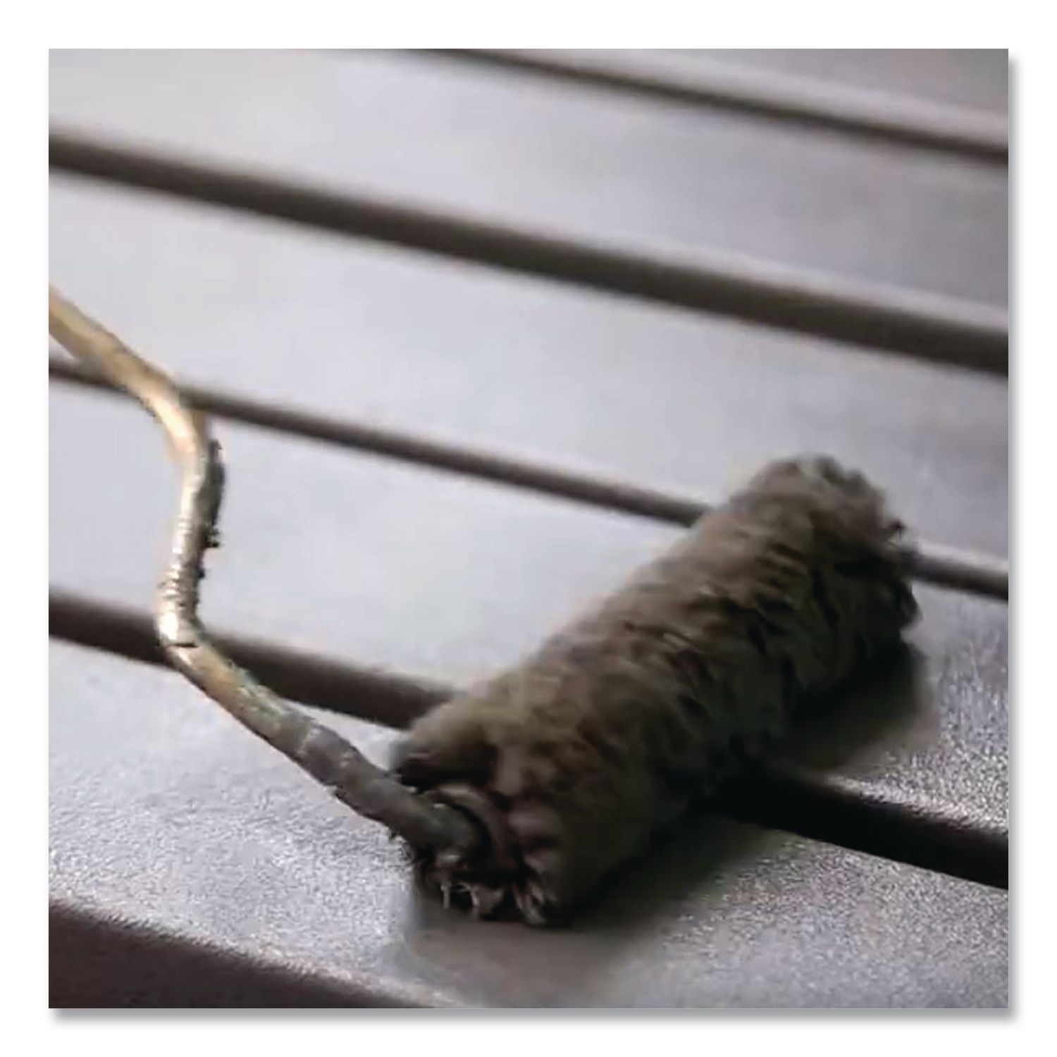 Rust-Oleum® High Performance 9100 System DTM Epoxy Mastic Paint, Gloss ...