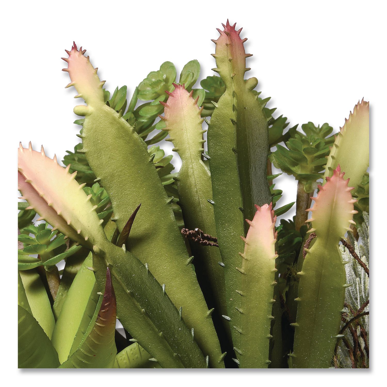 National Tree Company® Spring Potted Plant, 8" x 8" x 8", Green Plant ...