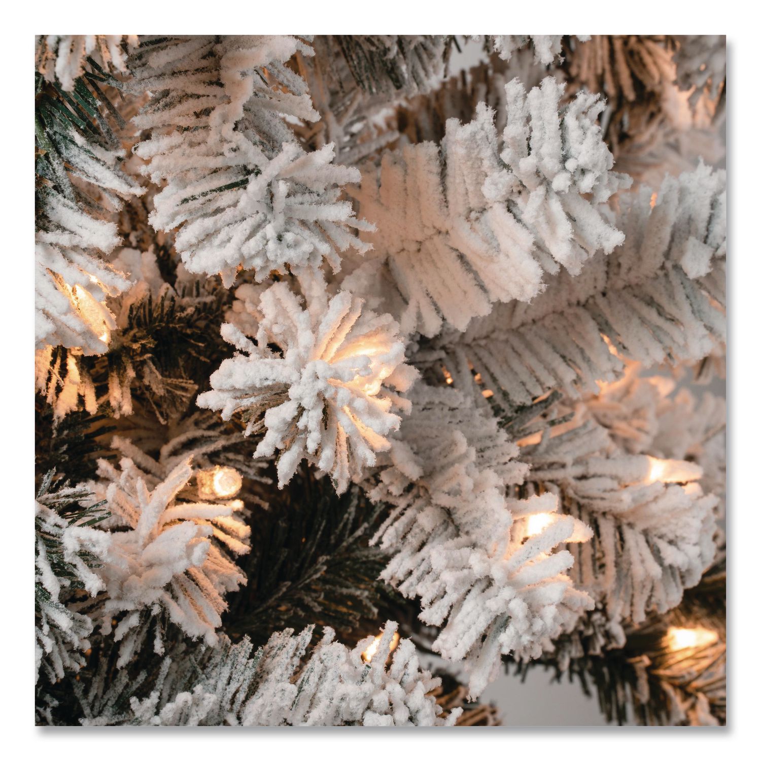 National Tree Company® Pre-Lit Acacia Flocked Slim Tree, 35" x 35" x ...