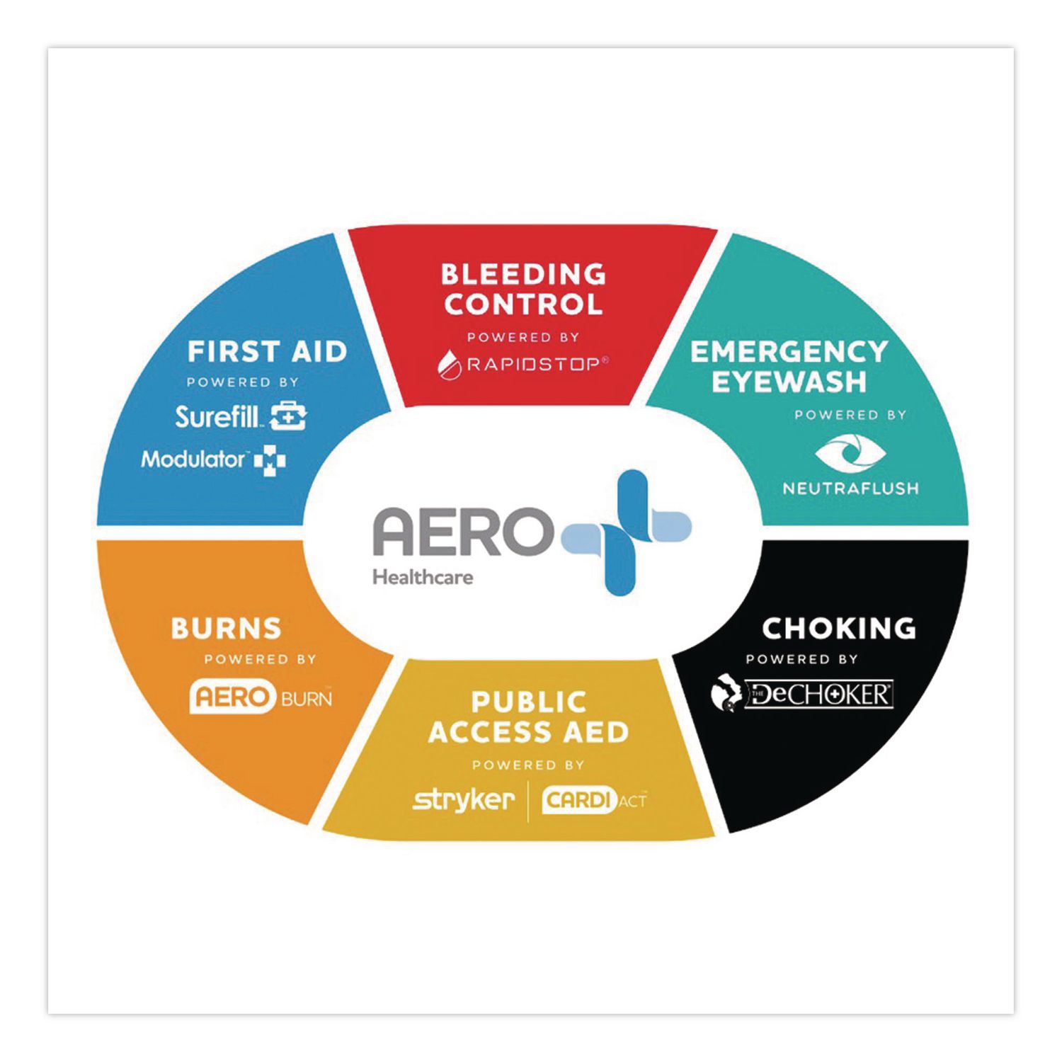 Brayden Brayden LED CPR Manikin with Blood Flow Circulation (Red Lights ...