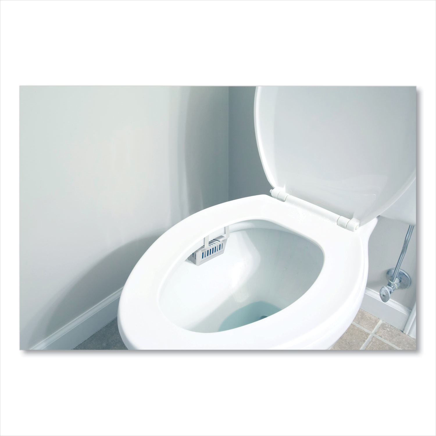 Big D Industries Non-Para Toilet Bowl Block, Lasts 30 Days, Evergreen ...