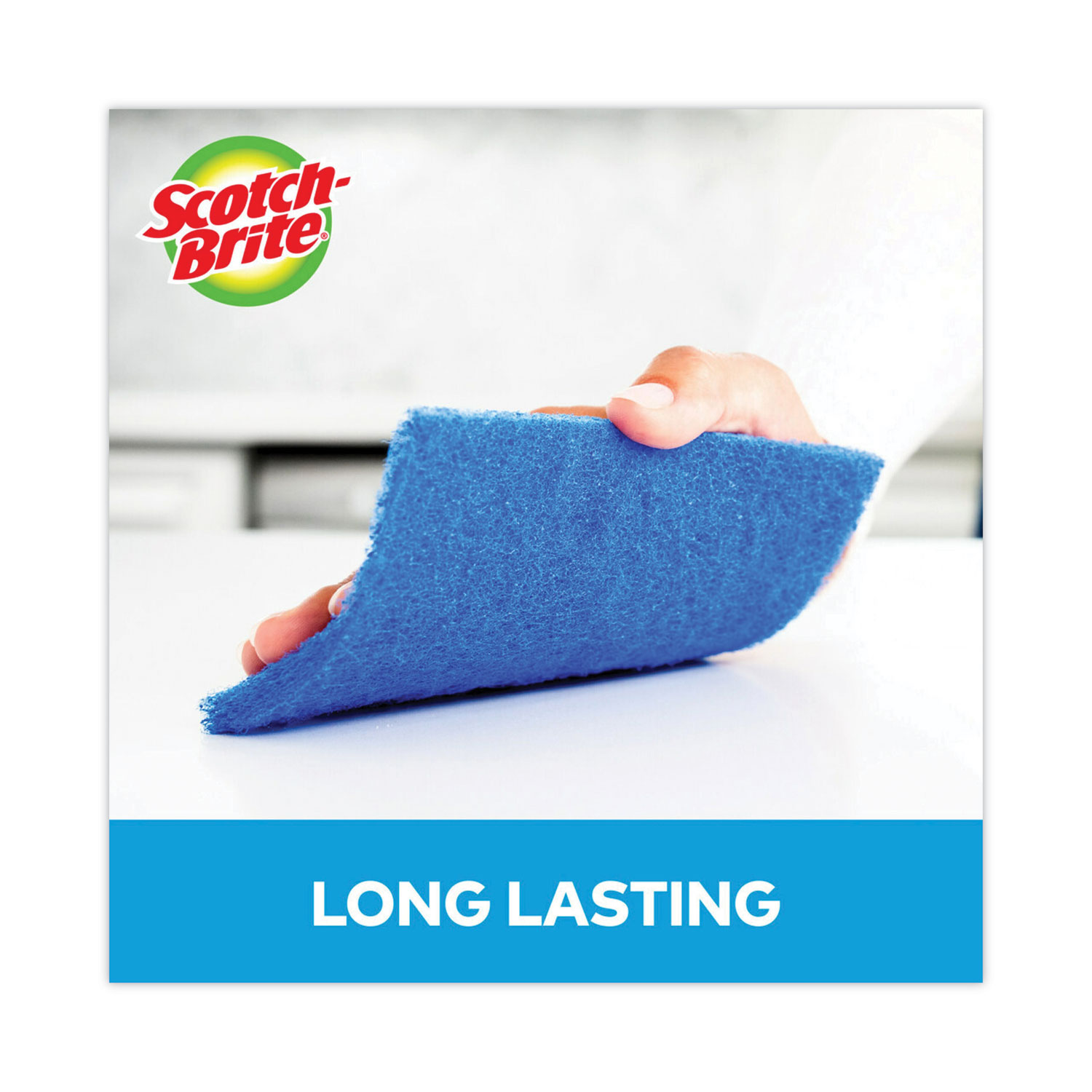 Non-Scratch Scour Pads, 3 x 6, Blue, 10/Carton - mastersupplyonline