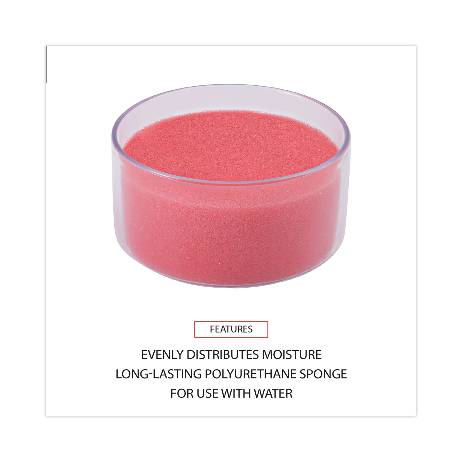 Sponge Cup Moistener, 3" Diameter, Clear - Louisiana Association for ...