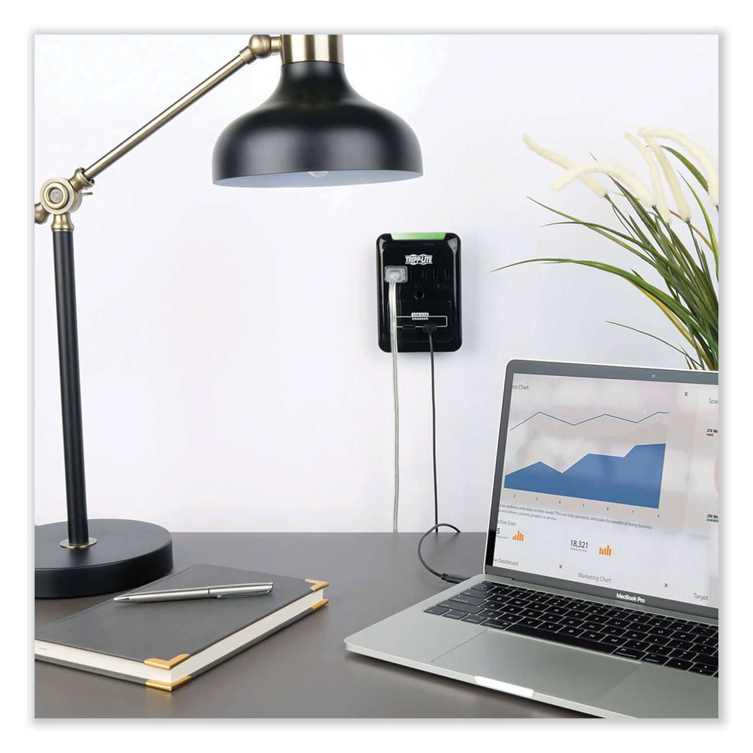 Tripp Lite SK30USB Surge Suppressor, 3 Outlets/2 USB, 540 Joules, Black ...