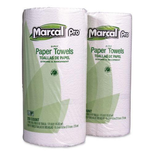 100% Premium Recycled Kitchen Roll Towels, 2-Ply, 11 x 8.8, White, 12 ...