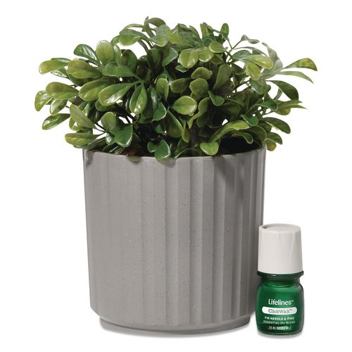 Lifelines® Evaporative Aromatherapy Essential Oil Boxwood Plant ...